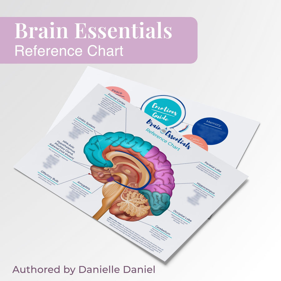 Brain Chart by Dr. Danielle Daniel – Your Oil Tools