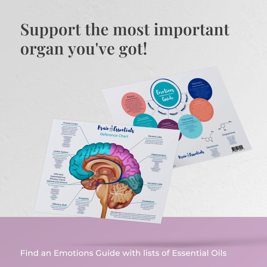 Brain Chart by Dr. Danielle Daniel – Your Oil Tools