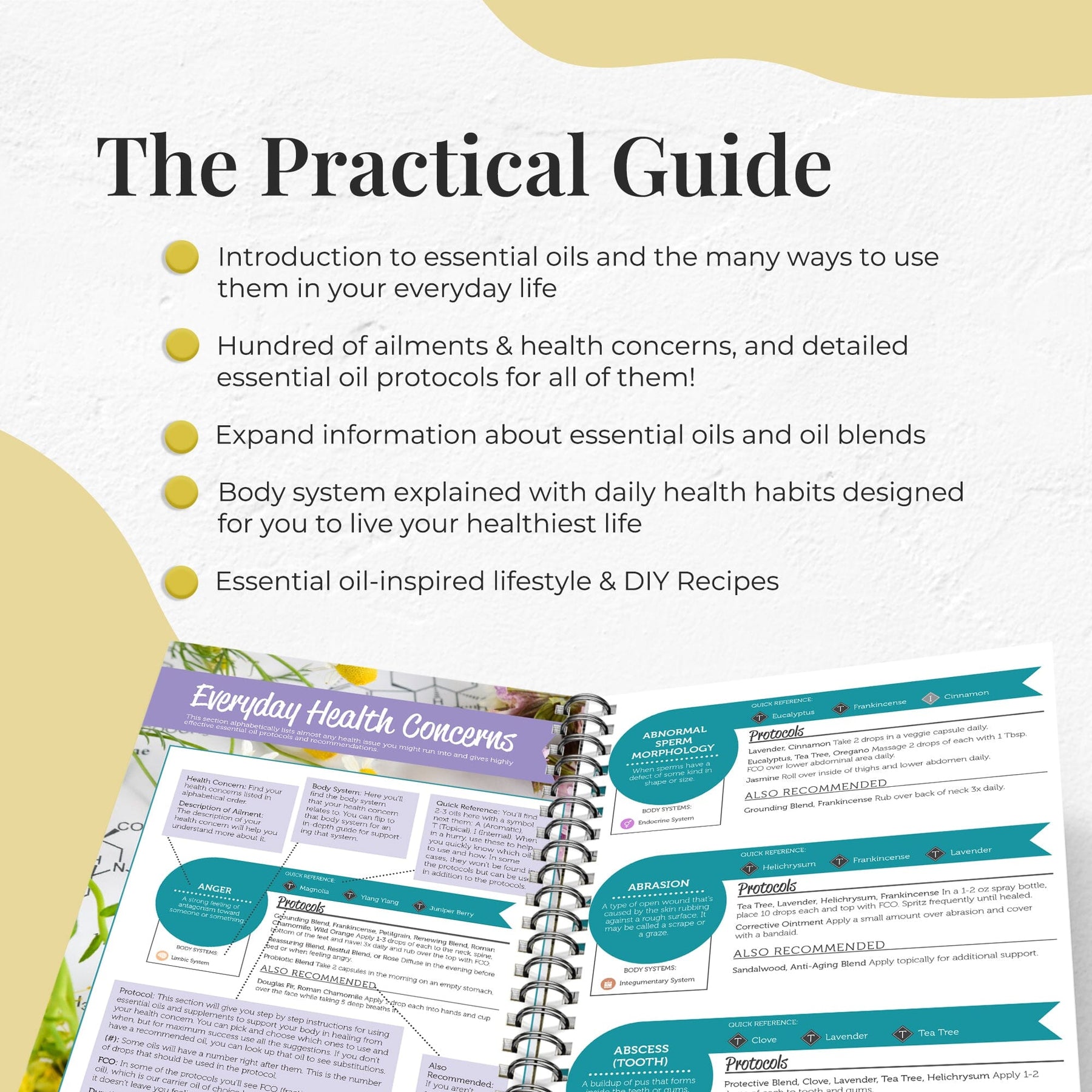 Everyday Essentials Guidebook 3rd Edition Expanded – Your Oil Tools