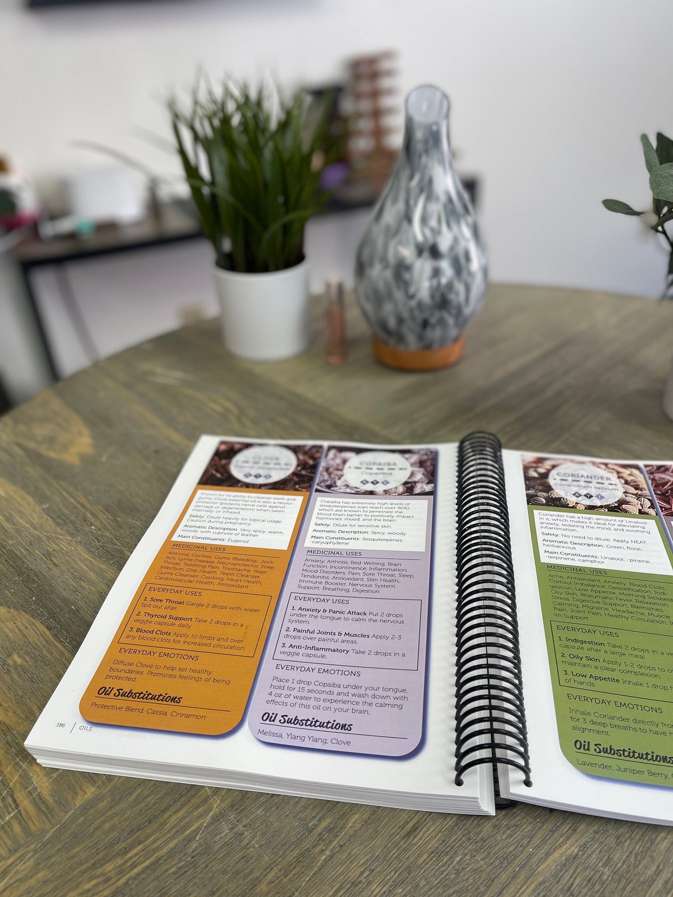 Everyday Essentials Guidebook 3rd Edition Expanded – Your Oil Tools