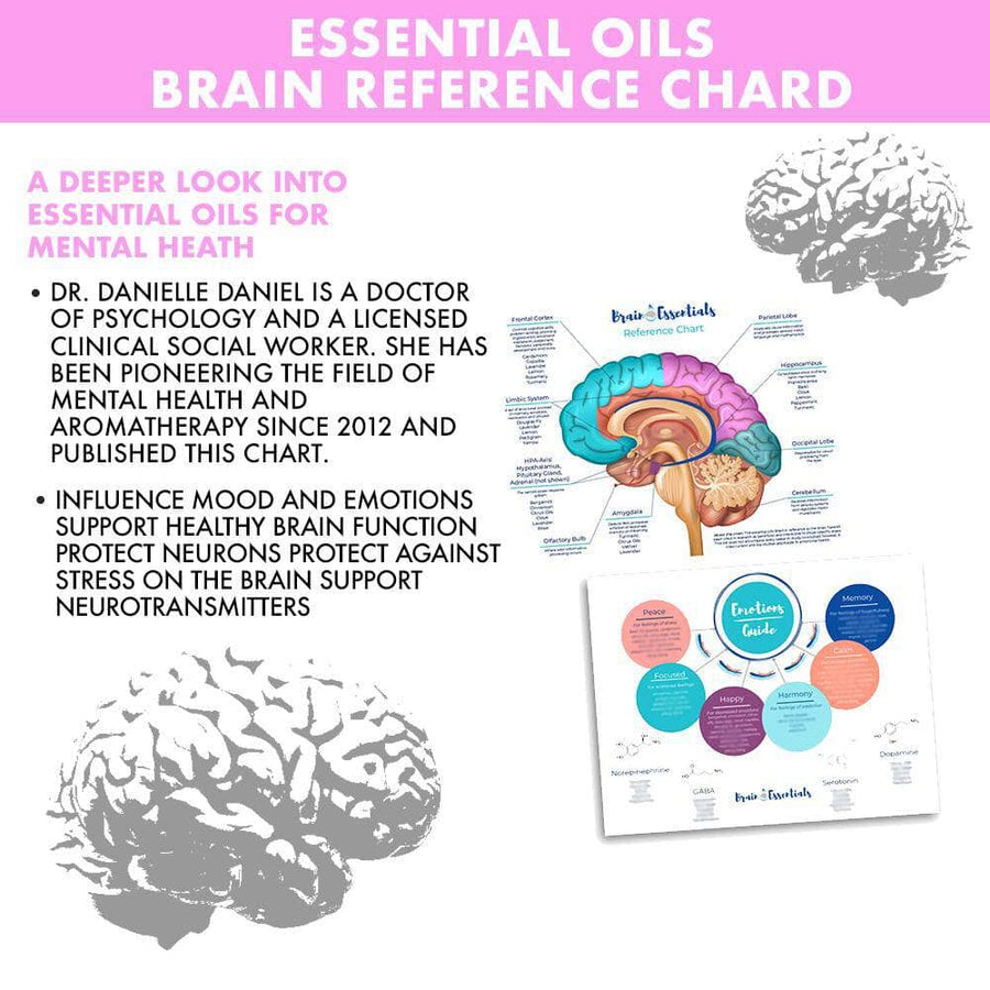 Brain Chart – Your Oil Tools