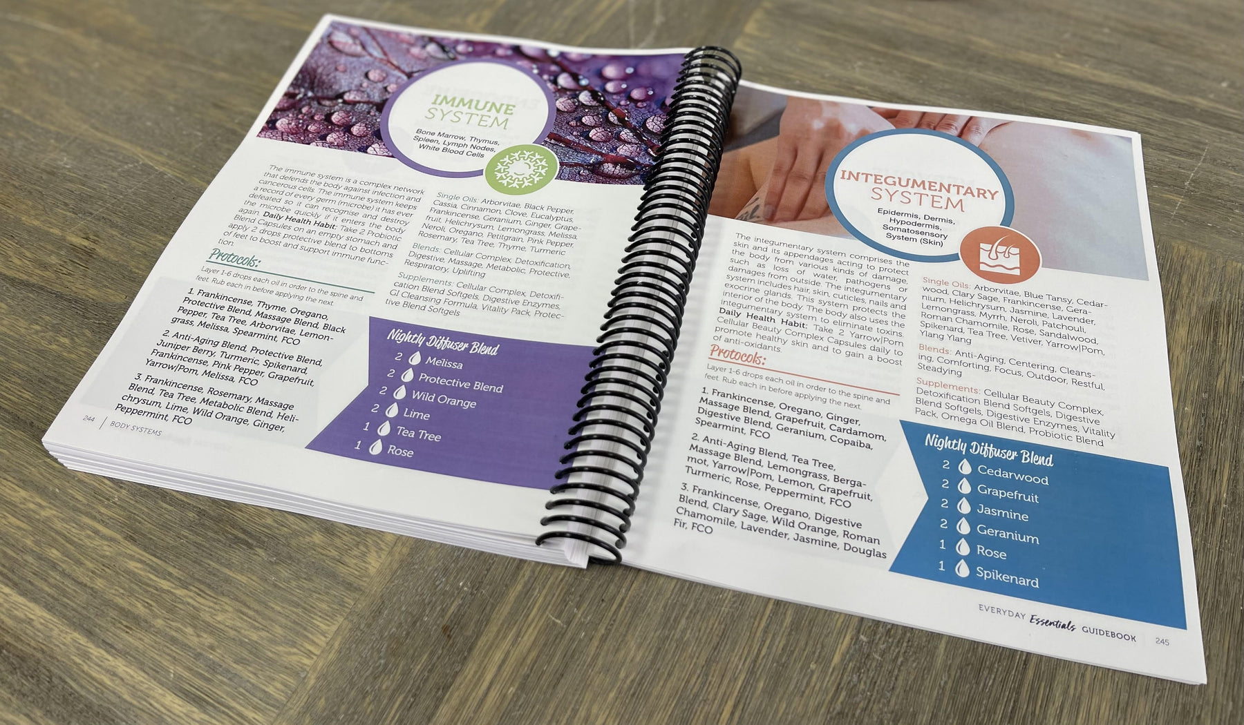 Everyday Essentials Guidebook 3rd Edition Expanded – Your Oil Tools