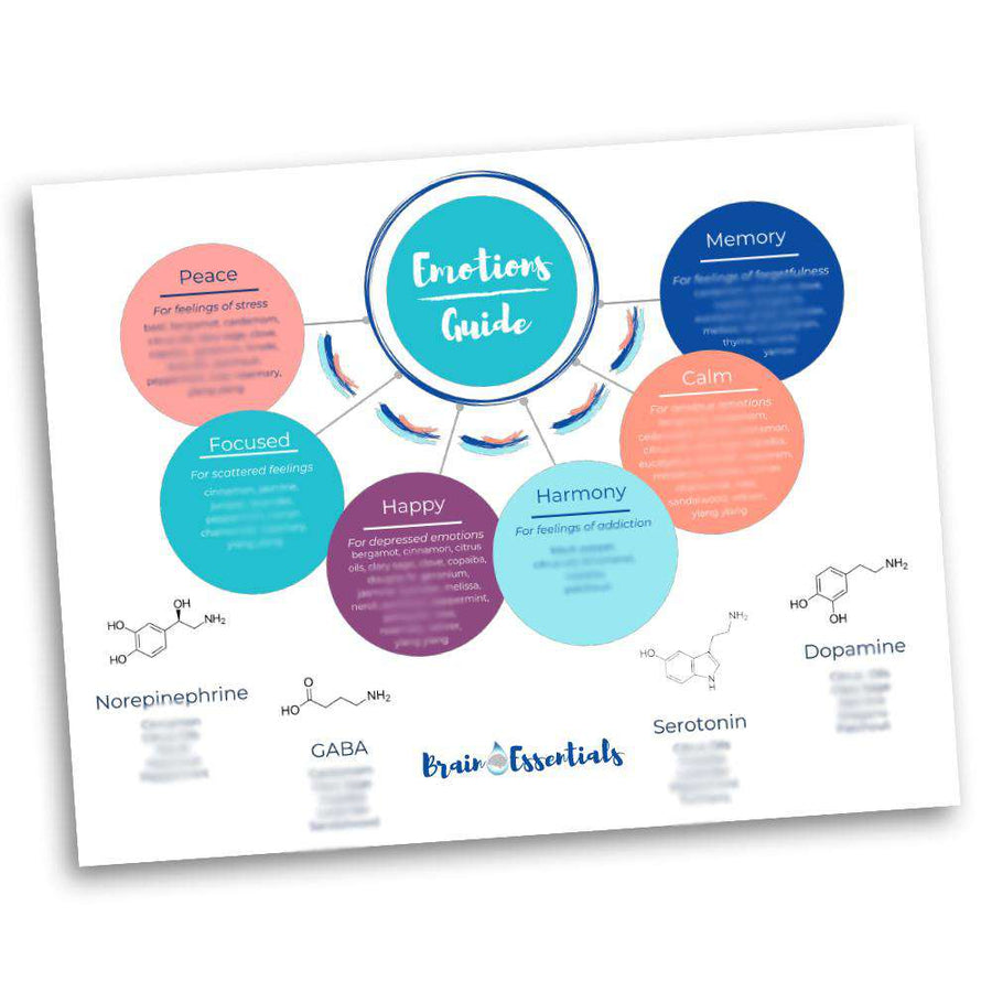 Brain Chart – Your Oil Tools